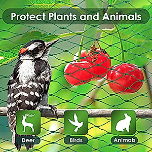 Ruolan Bird Netting for Garden Protect Vegetable Plants and Fruit Trees,Plastic Trellis Netting for Birds, Deer,Squirrels and Other Animals