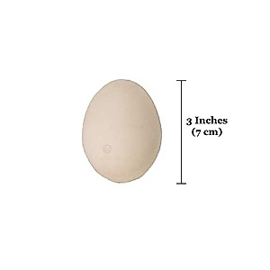 SunGrow Fake Eggs for Laying Hens in Chicken Coop, Train to Lay Inside Nest Box, Beige, 4 Pcs per Pack