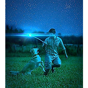 Chuckit Max Glow Ball Dog Toy, Medium (2.5 Inch Diameter) for Dogs 20-60 Lbs, Pack Of 2