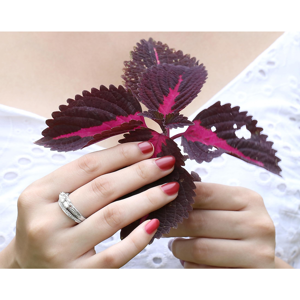 Dazzlingrock Collection 1.00 Carat (Cttw) 14K Round Diamond 3 Stone Engagement Ring Set 1 CT, White Gold, Size 7.5