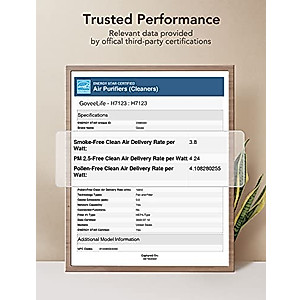 Govee Life Air Purifier Replacement Filter for H7123101, 4 Layers of Defense, 2 Pack