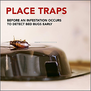 Raid Bed Bug Detector and Trap, For Indoor Use, 4 Count