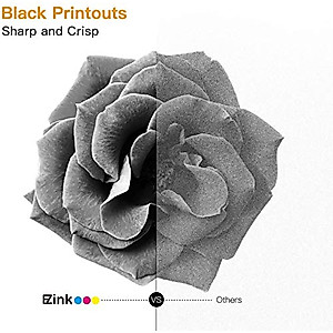 E-Z Ink (TM Compatible Toner Cartridge Replacement for Brother TN580 TN650 TN550 TN620 High Yield Compatible with HL-5370DW HL-5340D DCP-8060 DCP-8065DN HL-5240 HL-5250DN MFC-8660DN (1 Black)