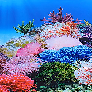 balacoo Fish Tank Background Fish Tank 10 Gallon Aquarium Background Sticker 3D Double- Sided Durable Wallpaper Fish Tank Backdrop Decorative Pictures 3D Aquarium Background 3D Aquarium Background