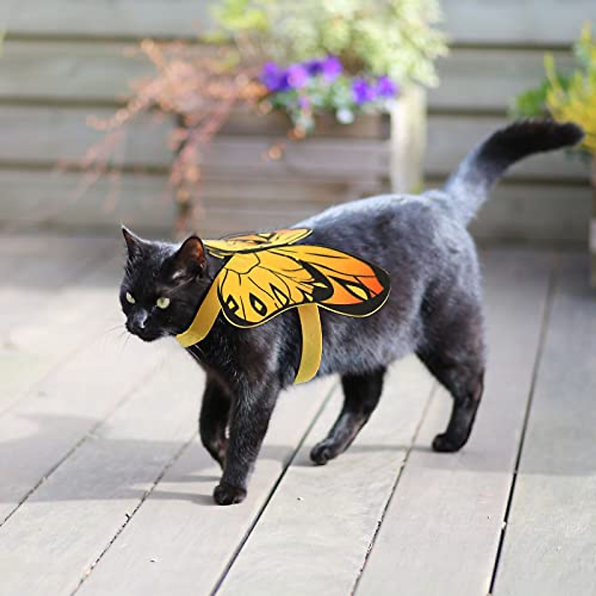 4 Pcs Halloween Pet Costume Spider Dragon Bat Butterfly Dog Costume Adjustable Adhesive Cosplay Bat Wings for Small Dogs and Cats Funny Cat Dog Costume Halloween Party Supply