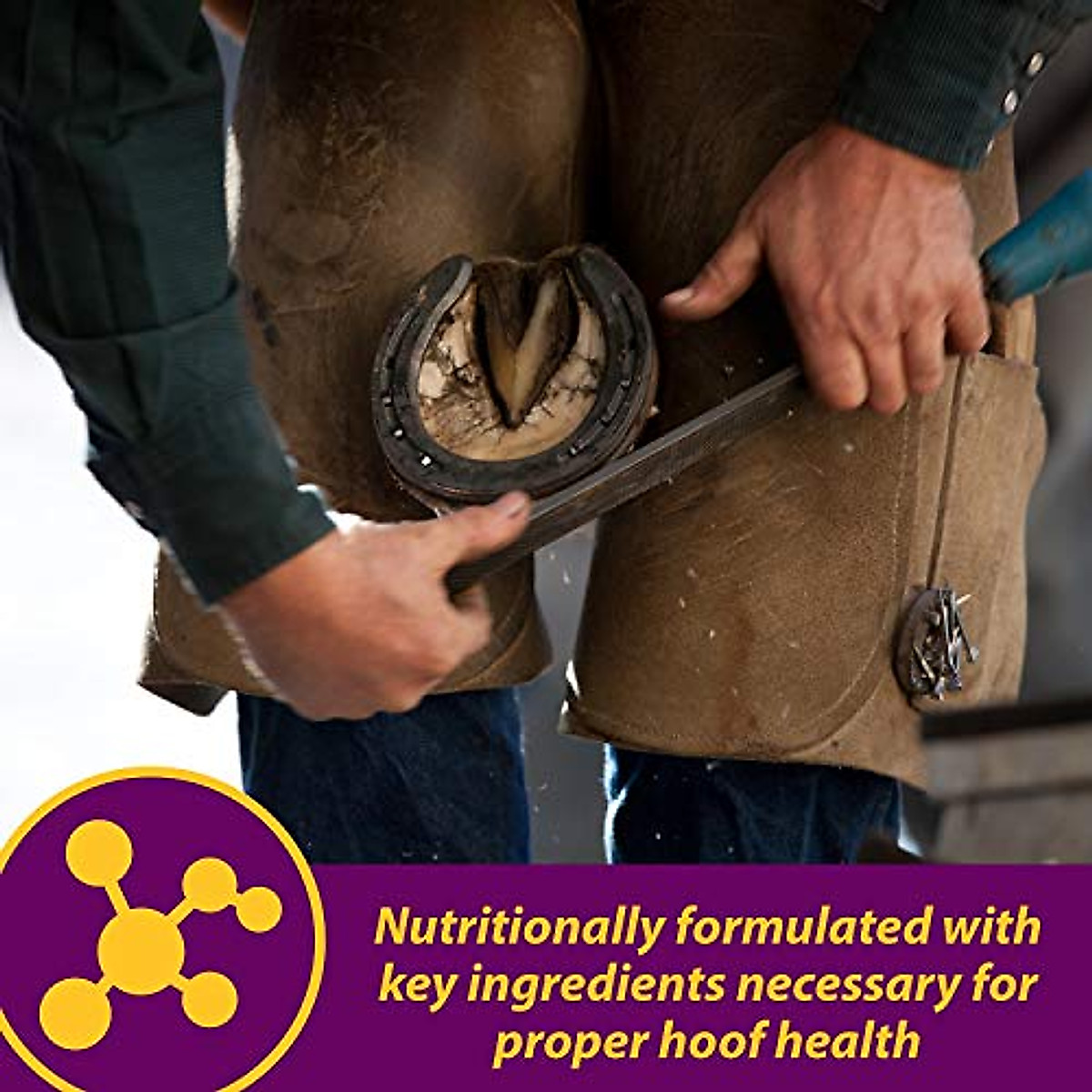 Horse Health Shur Hoof Hoof Supplement for Horses, Helps Grow Strong, Tough Hooves, 2.5 Pound, 40 Day Supply