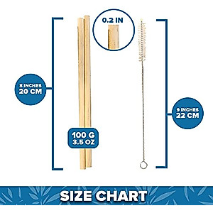 WorldFront Naturals Reusable Straws with Case & Straw Cleaner Brush - Eco Friendly Bamboo Straws Reusable Pack of 10, Used as Cocktail Straws, Smoothie Straws, Travel Straws, Coffee Straws