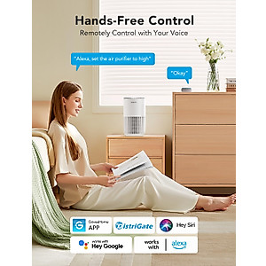 GoveeLife Mini Air Purifier for Bedroom, HEPA Smart Filter Air Purifier with App Alexa Control for Pet Hair, Odors, Pollen, Smoke, Portable Air Cleaner with 3 Speeds, 2 Modes, Timer, Aroma for Home