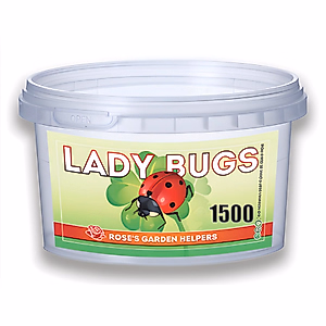 1500 Live Ladybugs - Hippodamia Convergens - Guaranteed Live Deliver - Plastic Container for Moth (1500)