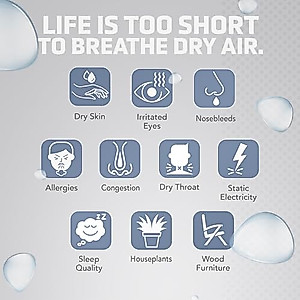 PureGuardian H965AR Ultrasonic Cool Mist Humidifier, 70 Hrs. Run Time, 1 Gal. Tank Capacity, 320 Sq. Ft. Coverage, Small Rooms, Filter Free, Silver Clean Treated Tank, Includes Essential Oil Tray