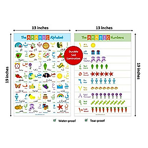 Akross Kultures Laminated Arabic Alphabet Poster - With Numbers - for Kids - Classrooms - Set of Two - 13" x 19" - Alif to Yaa Illustrations