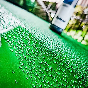CARPRO Reload Spray Sealant and Sprayer with Sio2 (Quartz) Glass-Like Gloss, Hydrophobicity and Silica Nanotechnology, Repels Dirt, Spray-On, Wipe-Off Car Sealant, 100mL (3.4oz)