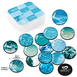 MORCART 16PCS Fridge Magnets, Ocean Magnets Decoration for Refrigerator Locker Whiteboard Decorative Magnetic Board Cabinets Classroom Office Cubicle School Cute