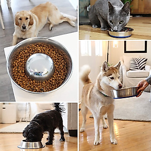 OurPets DuraPet Slow Feed Premium Stainless Steel Dog Bowl, Silver (2040010301)