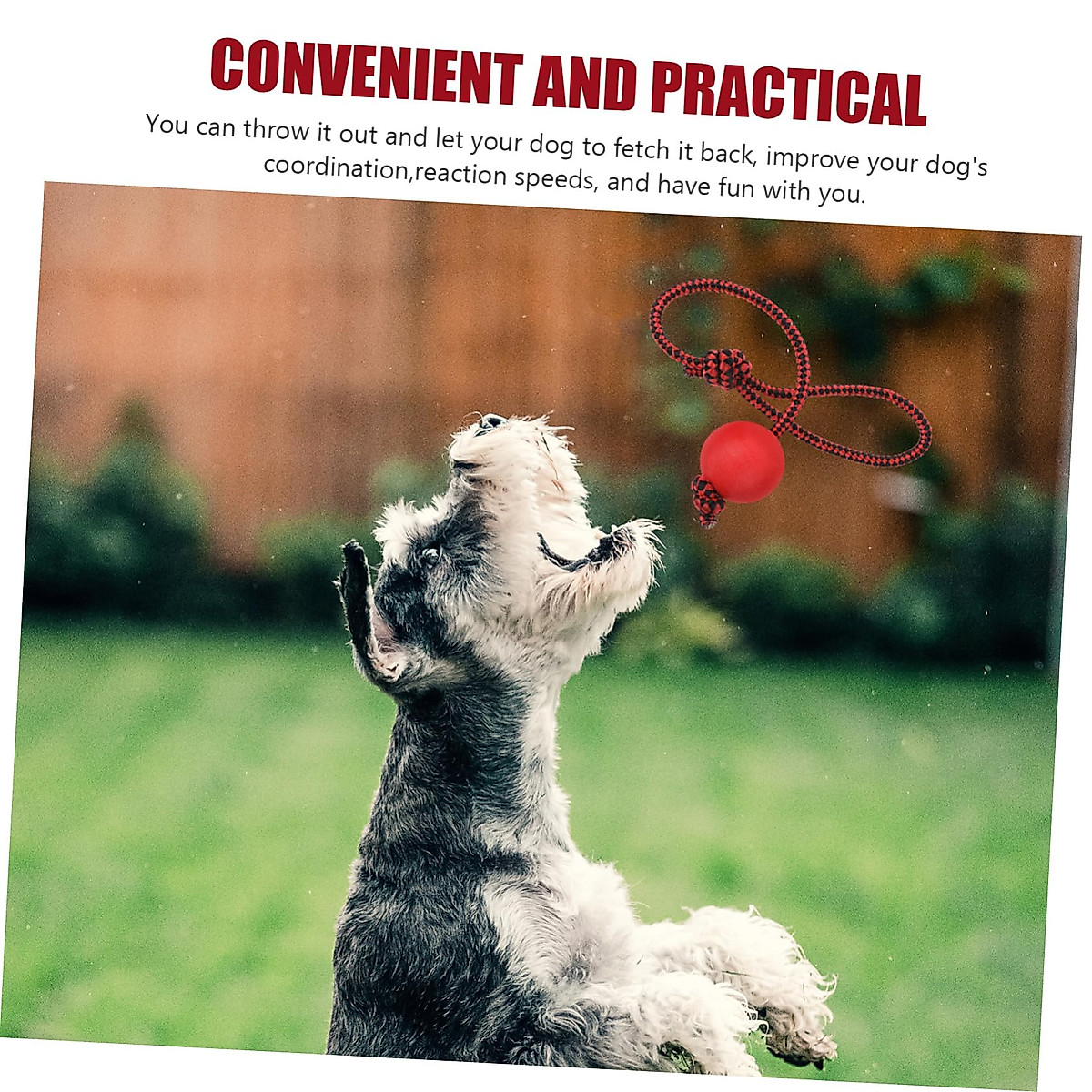 balacoo Training Pull Throw Toy 3pcs Dog Throwing Ball Rubber Ball on Rope Chuck It Stick Biting Rope for Fetch Ball Toy Dogs Fetch Toys Teething Toys for Puppies Chew The Ball