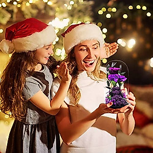 DENIMOMO Preserved Rose Gifts for Mom Wife Grandma Forever Real Roses in Glass Dome,Beauty and The Beast Rose Flowers,Thanksging Anniversary Birthday Gifts/Purple