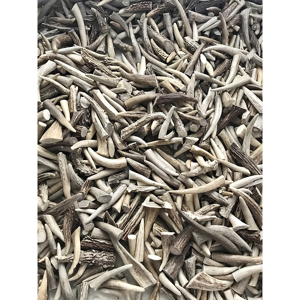 Deer Valley Dog Chews Deer Antlers (8oz Craft Kit) - Design Breathtaking Jewelry & Unleash Your Creativity with Premium Quality Antler Pieces for Stunning DIY Earrings, Necklaces, Bracelets and More