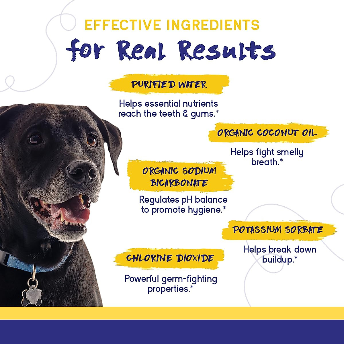PupGrade Dental Care Water Additive Solution - Advanced Oral Care for Dogs - Dental Rinse for Fresh Breath to Fight Against Bad Breath, Plaque, and Tartar
