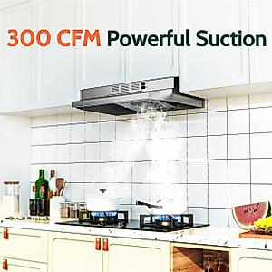 FIREGAS 24 inch Range Hood Under Cabinet, 300CFM Ducted/Ductless Convertible Kithen Hood in Stainless Steel with 2 watt LED Light and Filter, 2 fan speeds, hassle-free installation