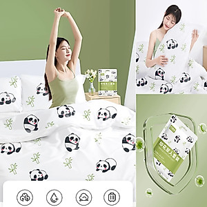 4 Piece Travel Bed Sheets Queen Size,Disposable Comforter Cover/Pillowcases Sets for Travel Hotel Portable Bedspread Cover Sheets Set Disposable Bedding Kit for Travel Business Trip Full Size