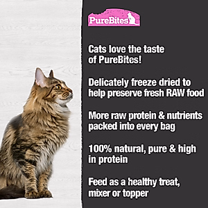 PureBites Freeze Dried Salmon Cat Treats 57g | 1 Ingredient | Made in USA (Packaging May Vary)