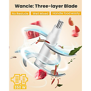 Wancle Food Processors, Multi-Functional Food Chopper, Meat Grinder & Veggie Chopper, Quiet, 600ML Glass Bowl Baby Food Maker, One-Touch Operation, 350W, Three-layer Blade(Black)
