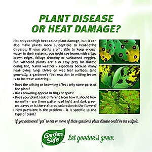 Garden Safe Brand Fungicide3 24 Ounces, 3 Garden Products In 1