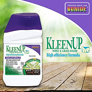 Bonide KleenUP Weed & Grass Killer High Efficiency Formula, 16 oz Concentrate, Fast Acting Formula Kills Weeds & Roots