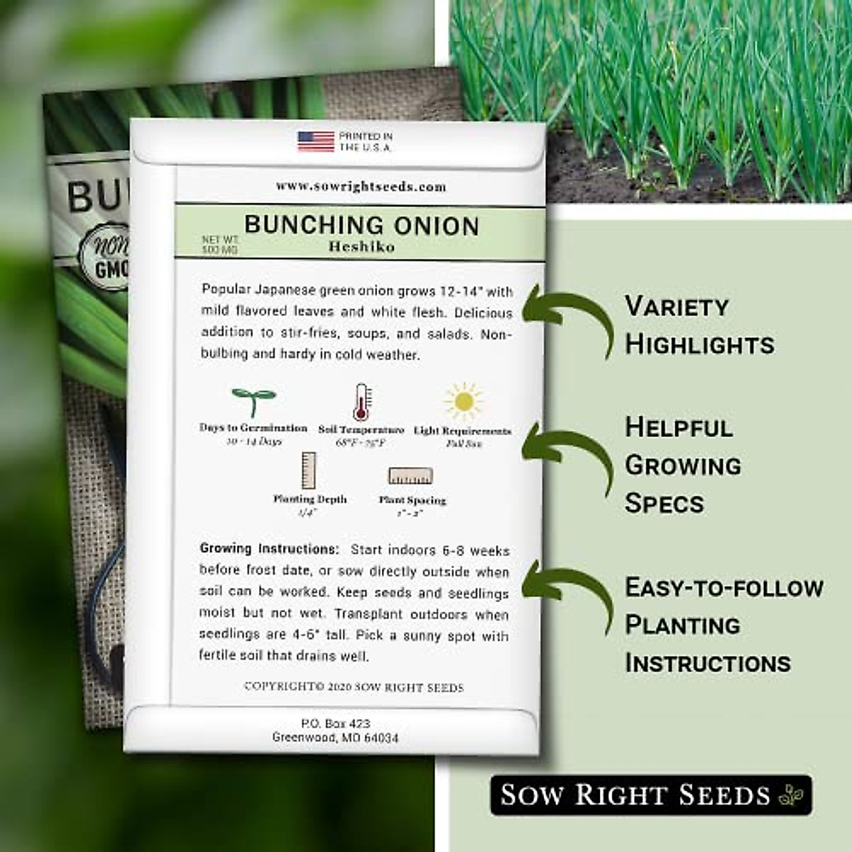 Sow Right Seeds - Heshiko Bunching Japanese Green Onion Seeds for Planting - Non-GMO Heirloom Seeds with Instructions to Plant and Grow a Kitchen Garden, Indoor or Outdoor; Great Gardening Gift