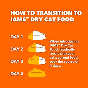 IAMS Proactive Health Adult Healthy Dry Cat Food with Salmon, 16 lb. Bag