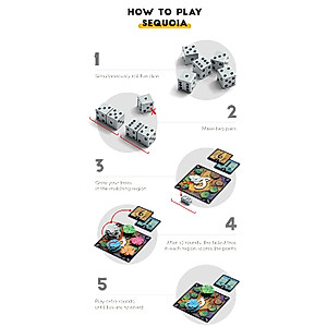 Sequoia - Board Game - 2 to 5 Players - 10 Minute Play Time