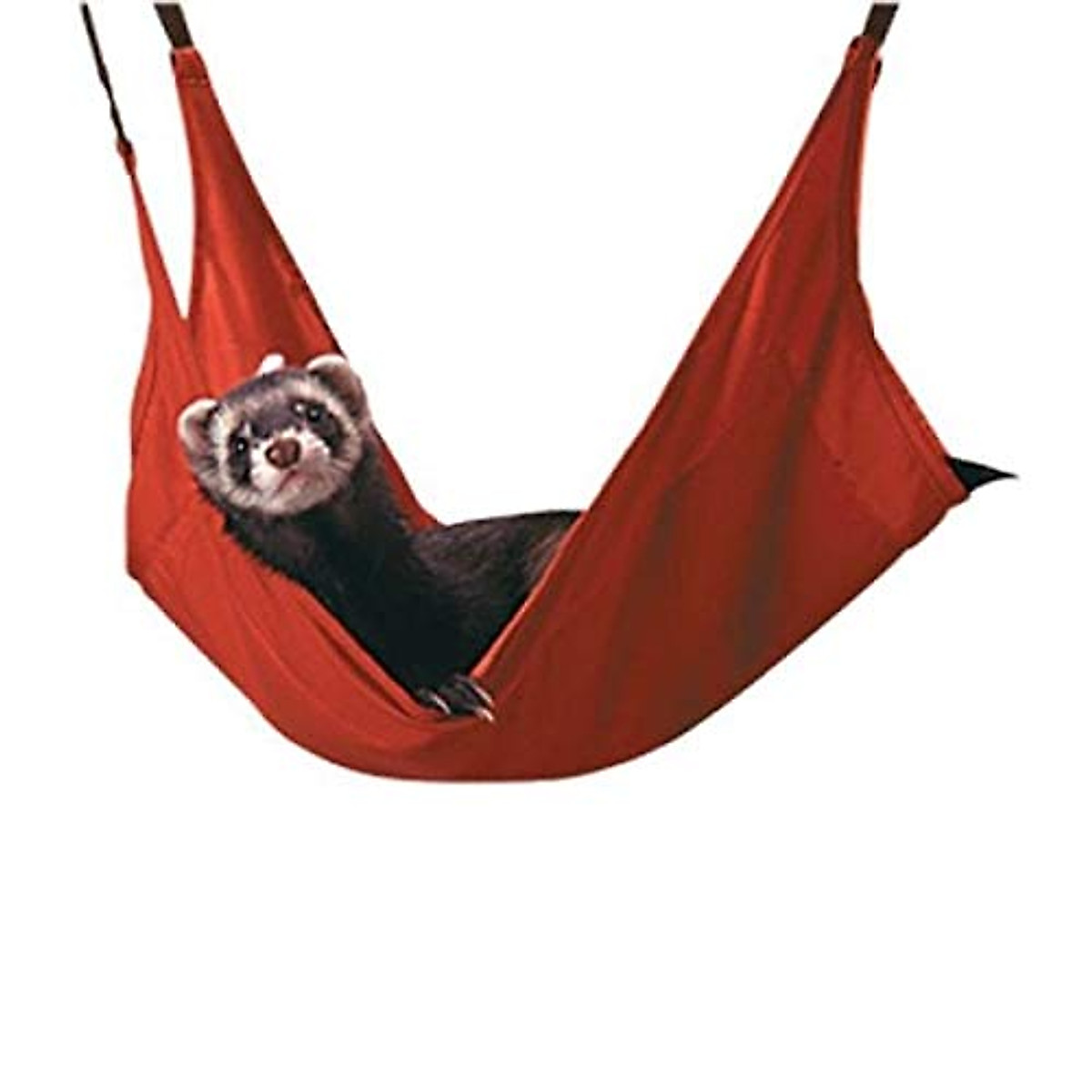 Marshall Ferret Leisure Lounge, Colors may Vary