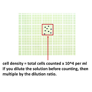 Microyn Improved Neubauer Hemocytometer, Cell Counting Chamber with Bright Line and Two Cover Glasses.