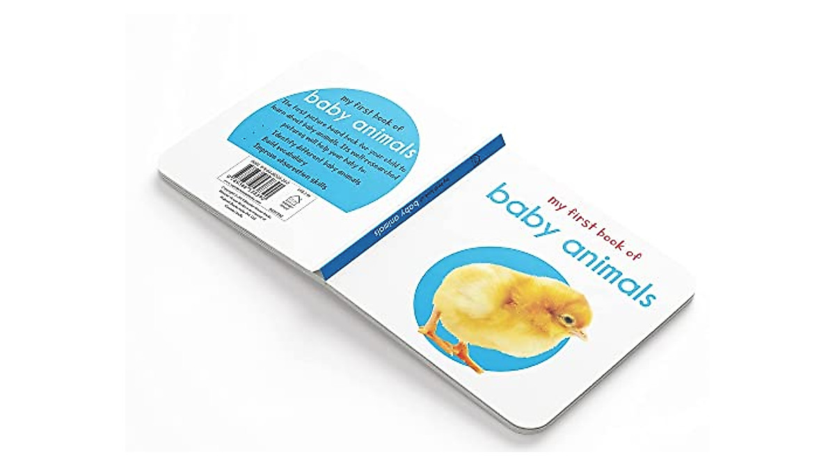 My First Library: 10 Engaging Board Books for Kids