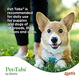 Pet-Tabs Multivitamin and Mineral Supplement for Puppies and Dogs of all Life Stages, Chewable Tablet, 180 Count Bottle