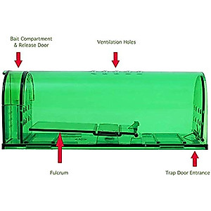 JM Traps 2019 New Upgraded Humane Mouse Trap, Easy to Set, Reusable, for Small Rodents,Pets Hamsters/Moles/Voles, Kids/Pet Safe