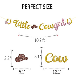 Little Cowgirl Banner - Western Cowboy One 1st Birthday Banner for Little Girl Gender Reveal Welcome Baby Girl Birthday Party Decorations
