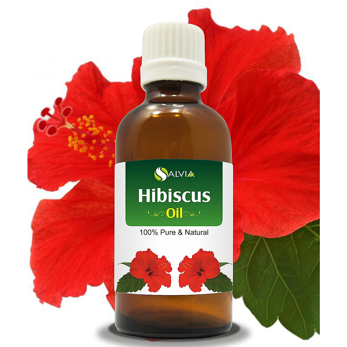 Hibiscus (Hibiscus Sabdariffa L) Essential Oil 100% Pure Uncut Undiluted Cold Pressed Herbal Premium Aromatherapy Oil 50ML