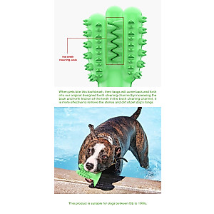 ASWER Dog Teeth Cleaning Toothbrush Durable Puppy Suction Cup Teething Chew Toy Tough Pet Dental Oral Care Brushing Sticks Safe Dogs Chewing Toys for Aggressive Chewers Small Medium Breed