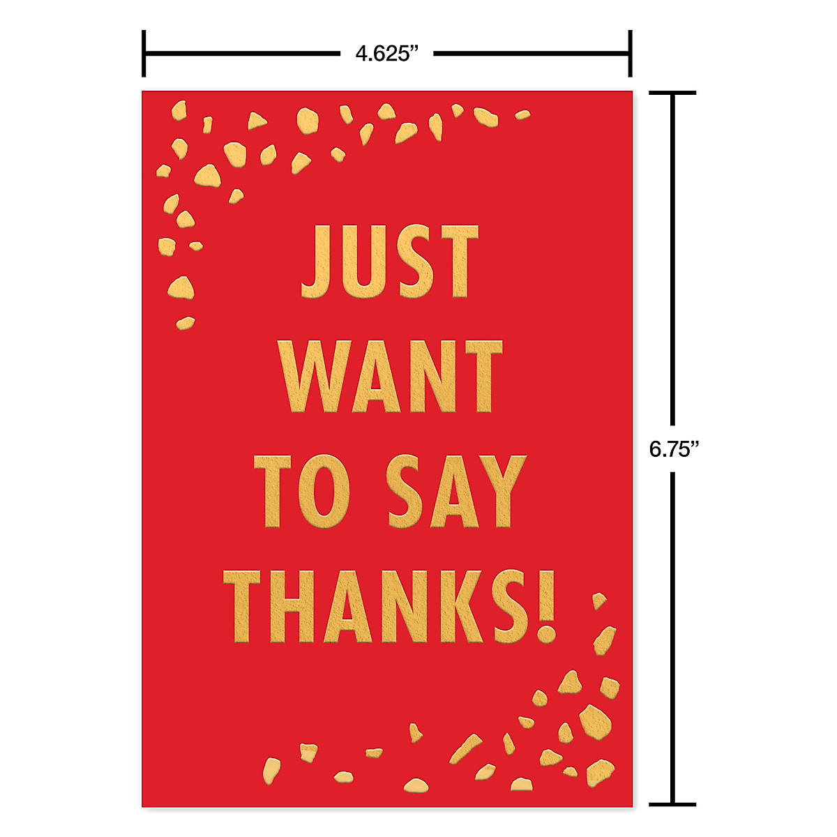 American Greetings Deluxe Boxed Thank You Card Assortment (15-Count)