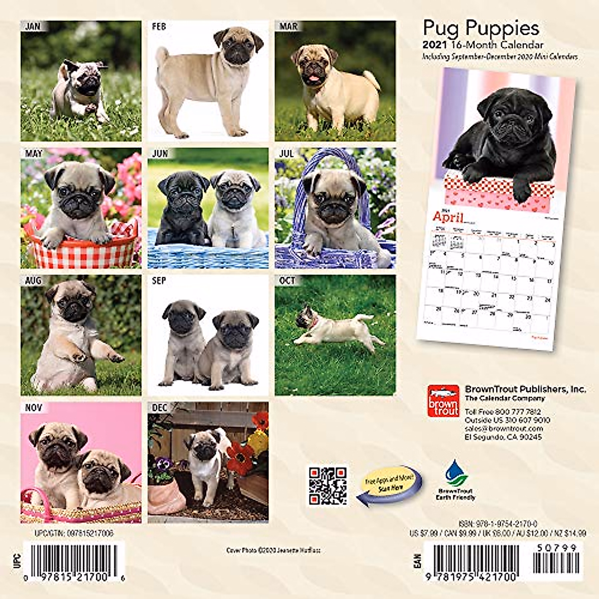 Pug Puppies 2021 Calendar