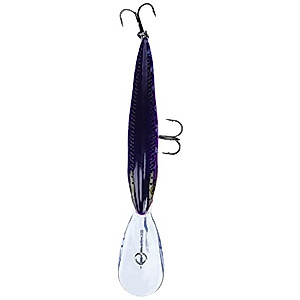 Rapala Deep Tail Dancer 11 Fishing lure, 4.375-Inch, Purpledescent