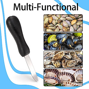 Fasmov 10 Pack Oyster Shucking Knife, Stainless Steel Oyster Knife Oyster Shucker Clam Knife, Oyster Knives Suitable for All Kinds of Shells and Oysters Shucking(White+ Black)