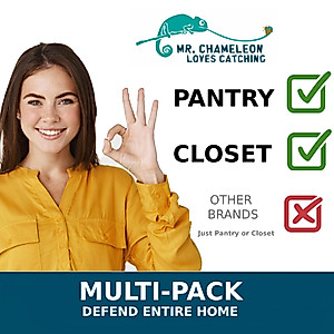 2024 All-New Moth Traps - Multi 4 Pack Bundle (2 Pantry and 2 Clothes) Magic Moth Catch, Safe & Odor-Free Protect Kitchen, Wardrobe, Closet