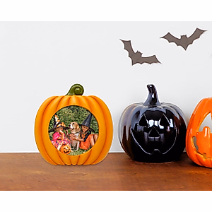 Isaac Jacobs 4x4 Pumpkin-Shaped Picture Frame For Halloween Or Fall Décor, Photo Tabletop & Wall Display Hanging Display (4x4, Orange)