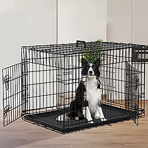 48 Inch Dog Crate Dog Cage for Large Dogs Folding Mental Wire Dog Kennel Outdoor and Indoor with Double-Door Divider Panel Removable Tray and Handle