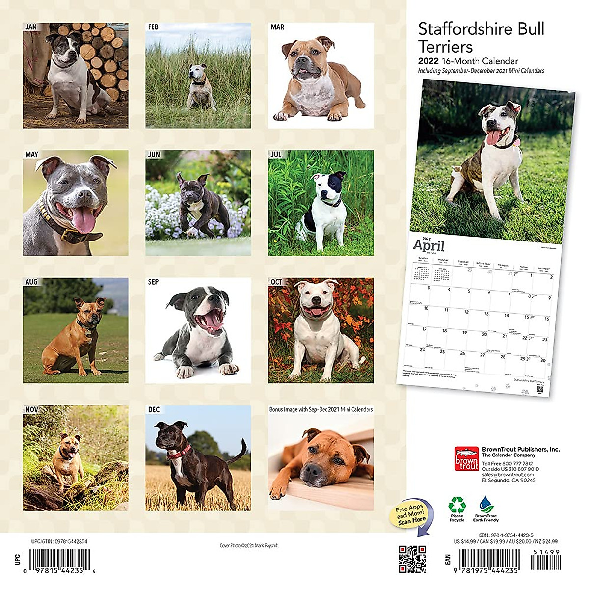 Staffordshire Bull Terriers 2022 12 x 12 Inch Monthly Square Wall Calendar, Animals Dog Breeds DogDays