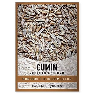 Cumin Seeds for Planting is A Heirloom, Non-GMO Herb Variety- Cuminum Cyminum Herb Seeds Great for Indoor and Outdoor Gardening by Gardeners Basics