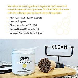 Molly's Suds Sink and All Purpose SCRUB | Gently Removes Stains, Scrubs Away Grease & Gime, Buffs out Scratches | Earth Derived Ingredients | 2 Pack, Citrus Scent