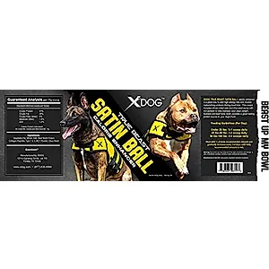 True Beast Satin Balls Recipe For Dogs High Calorie Enhancer - Combines Superfood Bone Broth Protein, Beef Collagen, Coconut Oil And Chia Seed. All Natural, Healthy Weight Gainer For Dogs. (4140 Cals)